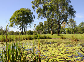 Chinderah Golf Club - NRDGA - Northern Rivers District Golf Association